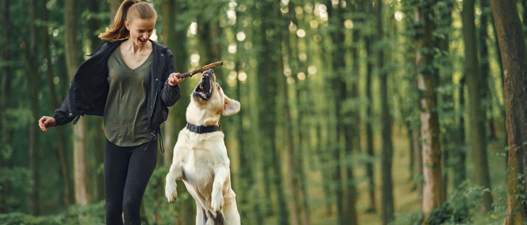 How To Adjust Your Dog to A New Location